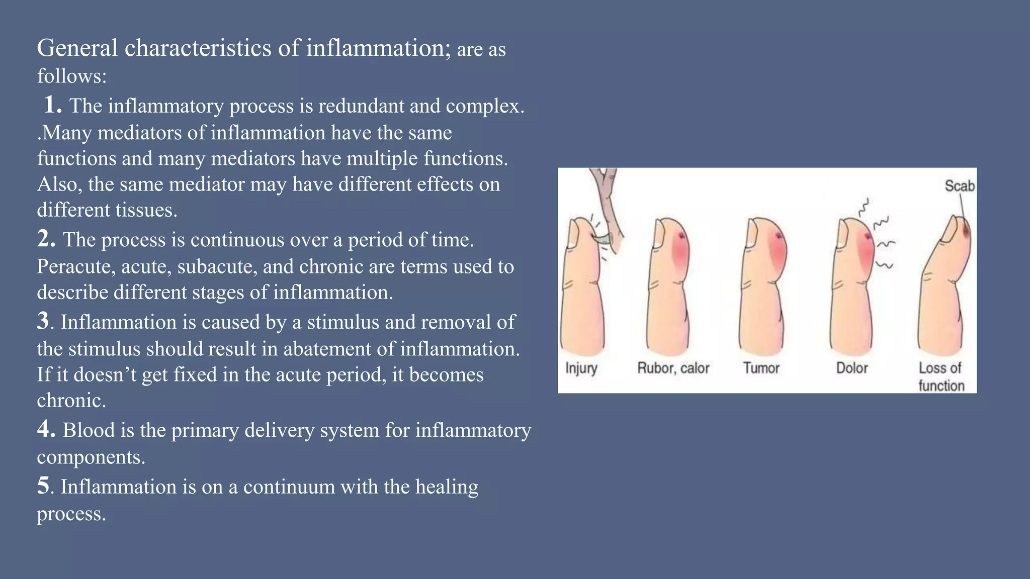INFLAMMATION,types,morphological patterns,acute inflammation,chronic ...