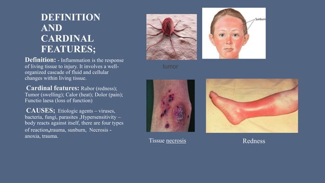 INFLAMMATION,types,morphological patterns,acute inflammation,chronic ...