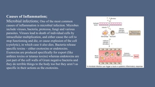 INFLAMMATION,types,morphological patterns,acute inflammation,chronic ...