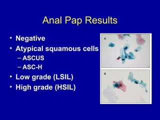 HPV: What is it? What does it do? | PPT