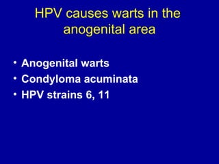 HPV: What is it? What does it do? | PPT