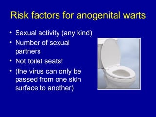 HPV: What is it? What does it do? | PPT