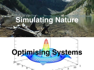 Natural Computation | PDF
