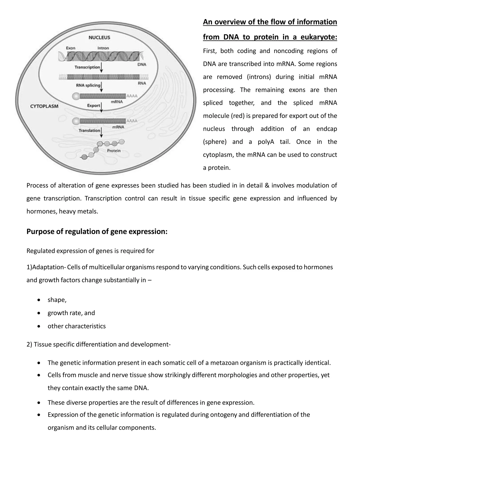 Nucleic Acid Based Therapeutic Delivery System | PPTX | Biological ...