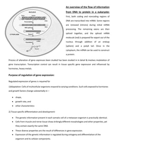 Nucleic Acid Based Therapeutic Delivery System | PPTX