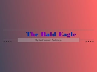 Nathan animal ppt | PPT | Birdwatching | Hobbies & Interests