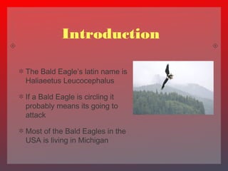 Nathan animal ppt | PPT | Birdwatching | Hobbies & Interests