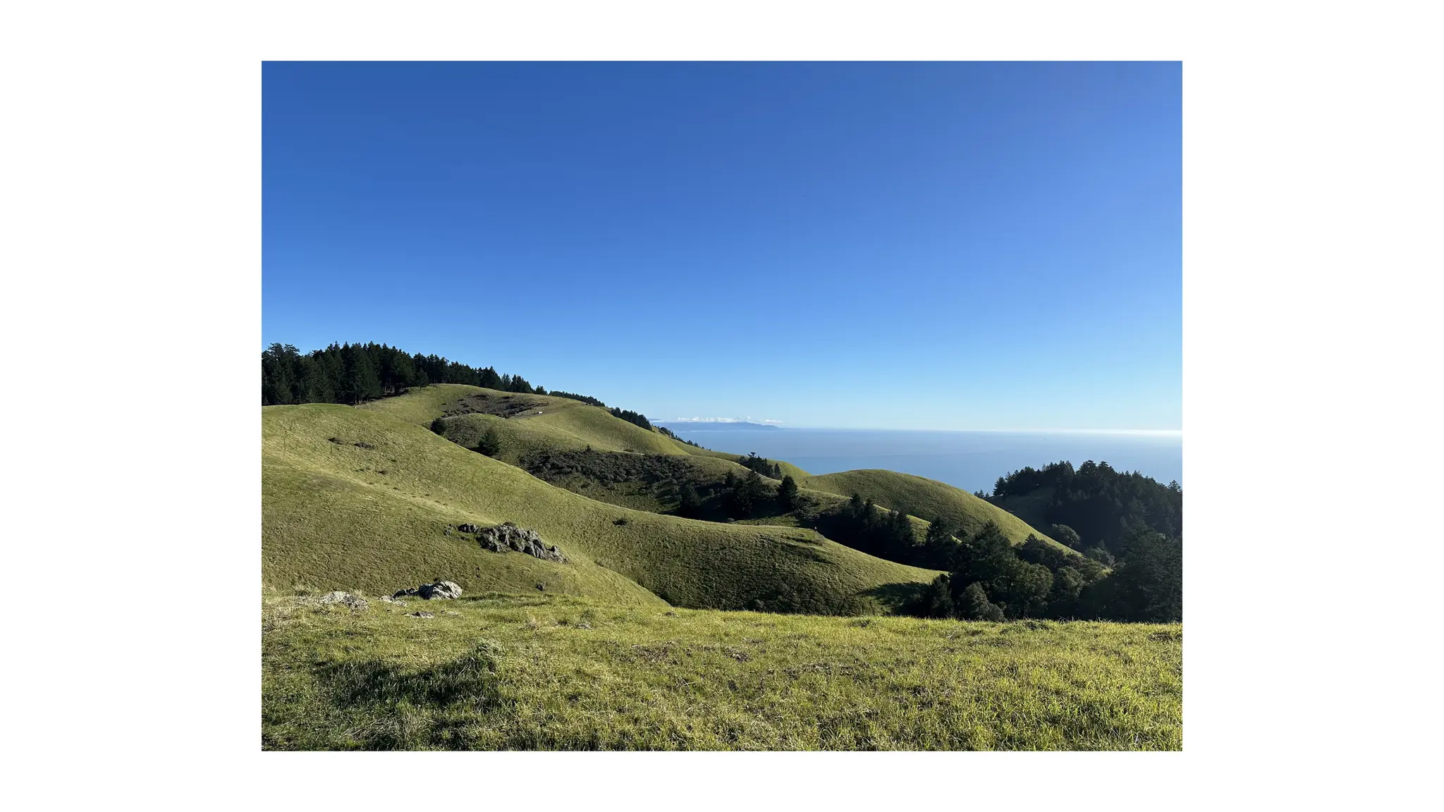 Nathan Barba -xs San Francisco Bay Area.pptx