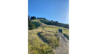 Nathan Barba Hikes Mt. Tamalpais in San Francisco Bay Area | PPT