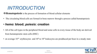 hemaatopoiesis.pptx