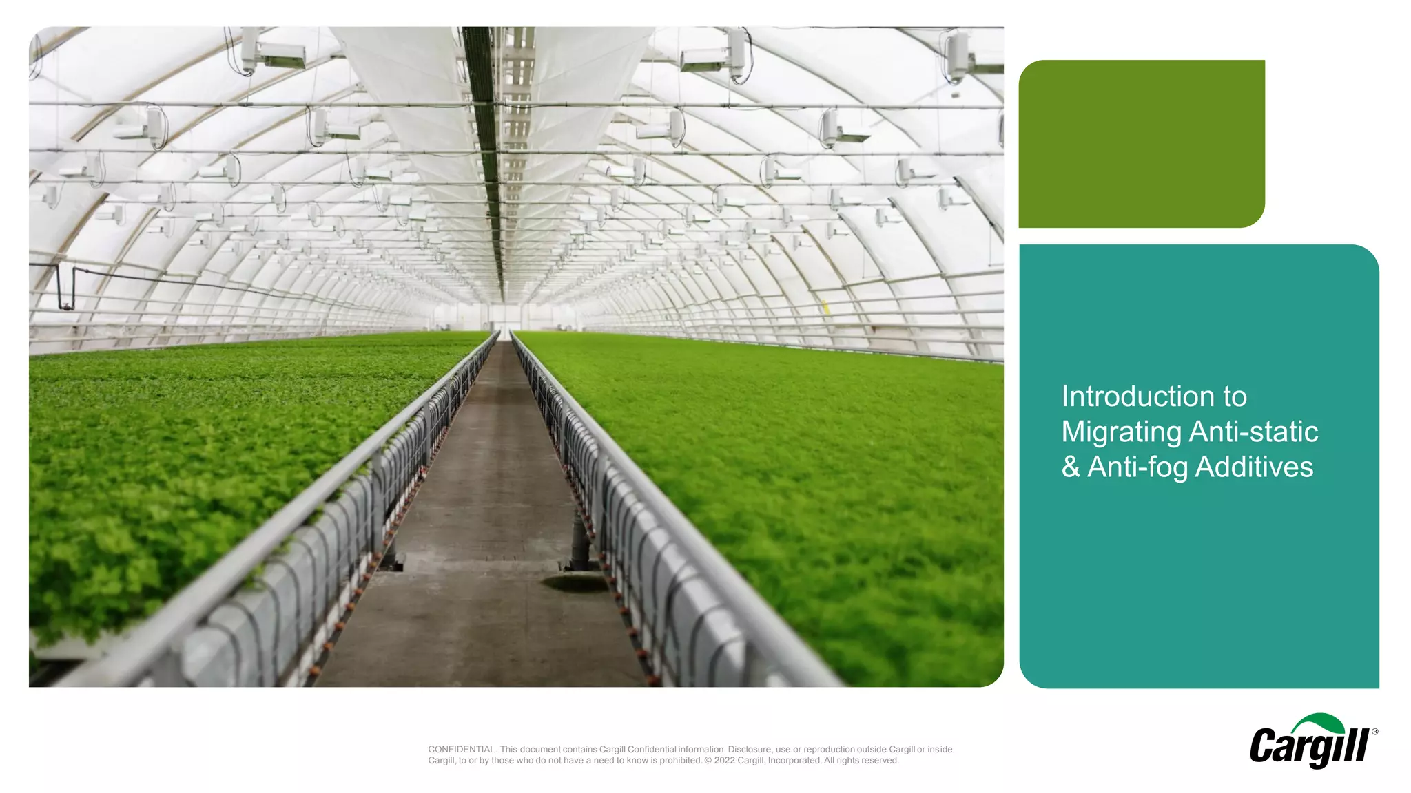 BIO-BASED ADDITIVES TO IMPROVE THE PERFORMANCE & PROCESSING OF ...