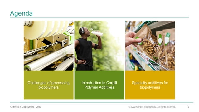 BIO-BASED ADDITIVES TO IMPROVE THE PERFORMANCE & PROCESSING OF ...