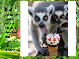N athan ppt lemurs | PPTX | Zoos & Aquariums | Attractions