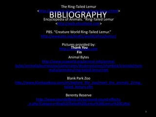 N athan ppt lemurs | PPTX | Zoos & Aquariums | Attractions