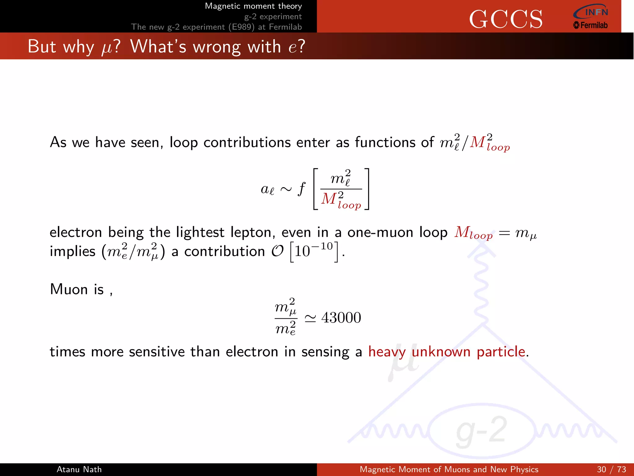 Magnetic Moment of Muons and New Physics | PPT