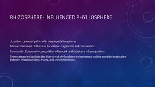 Phyllosphere - soil and agricultural microbiology SlideShare upload.pptx