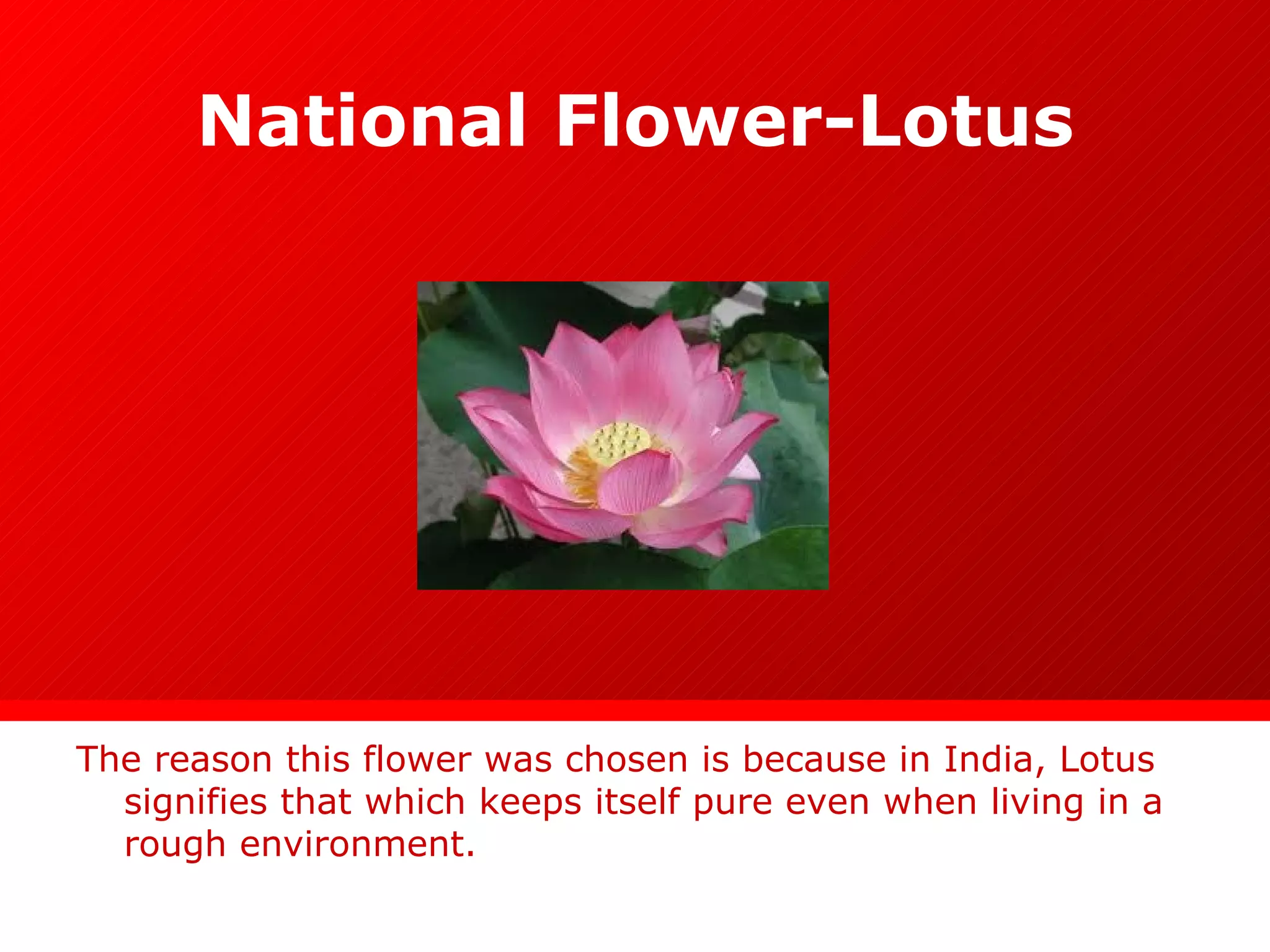 National Symbols-India | PPT