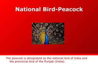 National Symbols-India | PPT