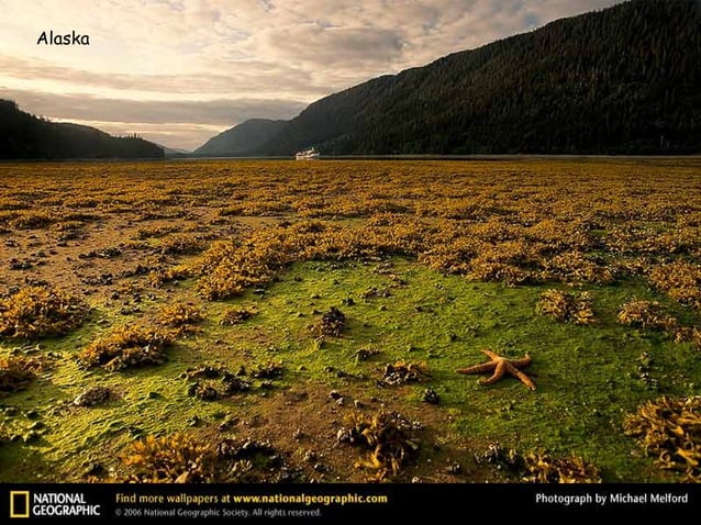 national geographic 2 | PPT