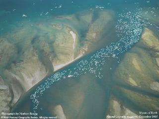 NATIONAL GEOGRAPHIC 2005 | PPS