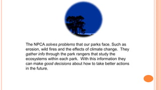 its time to help ppt. NPCA | PPTX