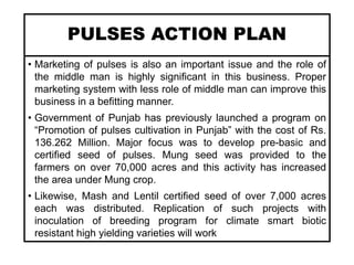 NATIONAL ACTION PLAN ON PULSES | PPT