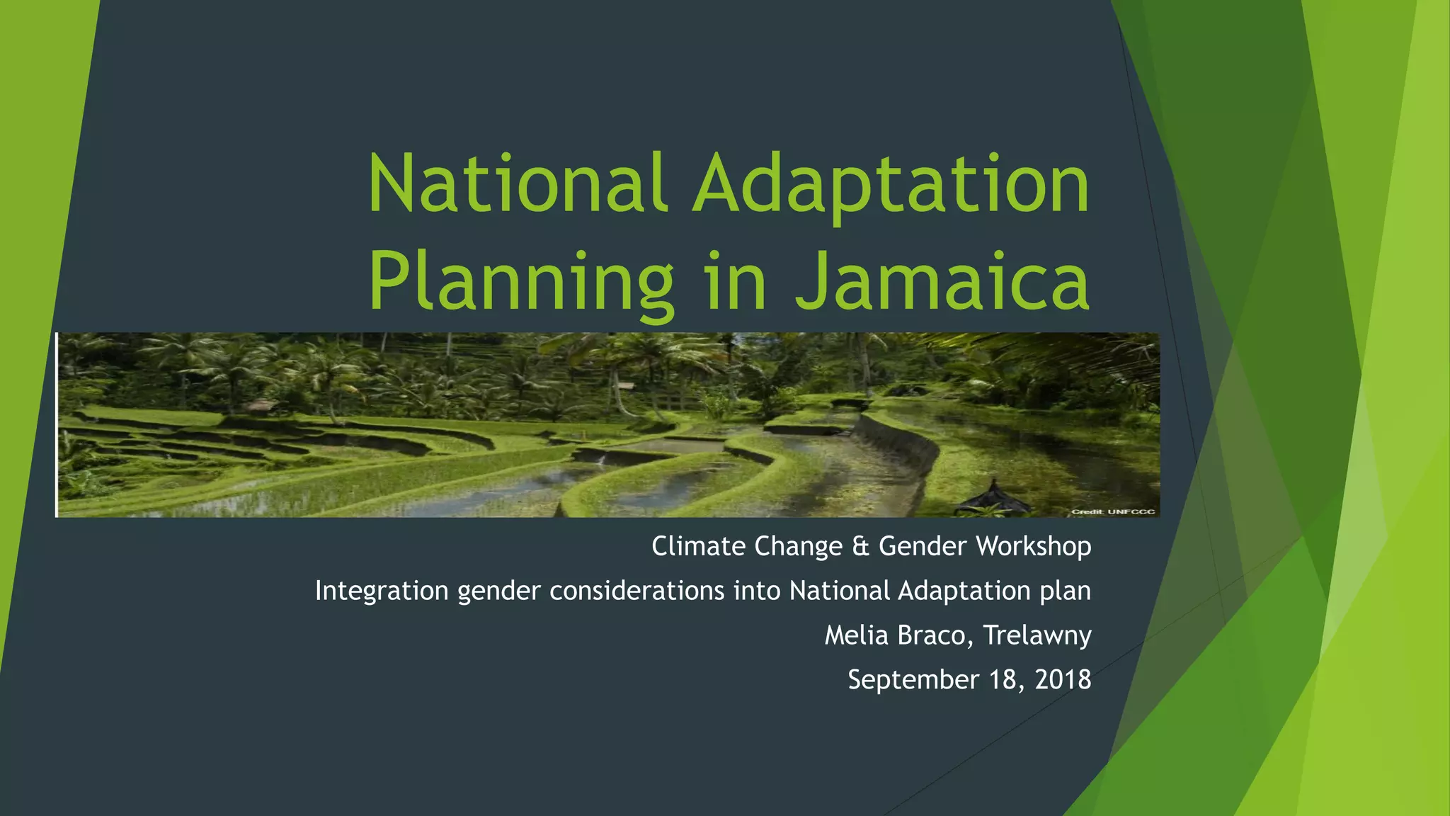 National Adaptation Planning in Jamaica | PPT