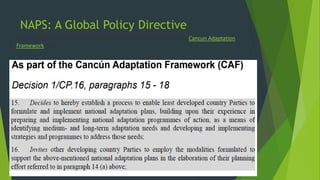 National Adaptation Planning in Jamaica | PDF