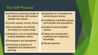 National Adaptation Planning in Jamaica | PDF