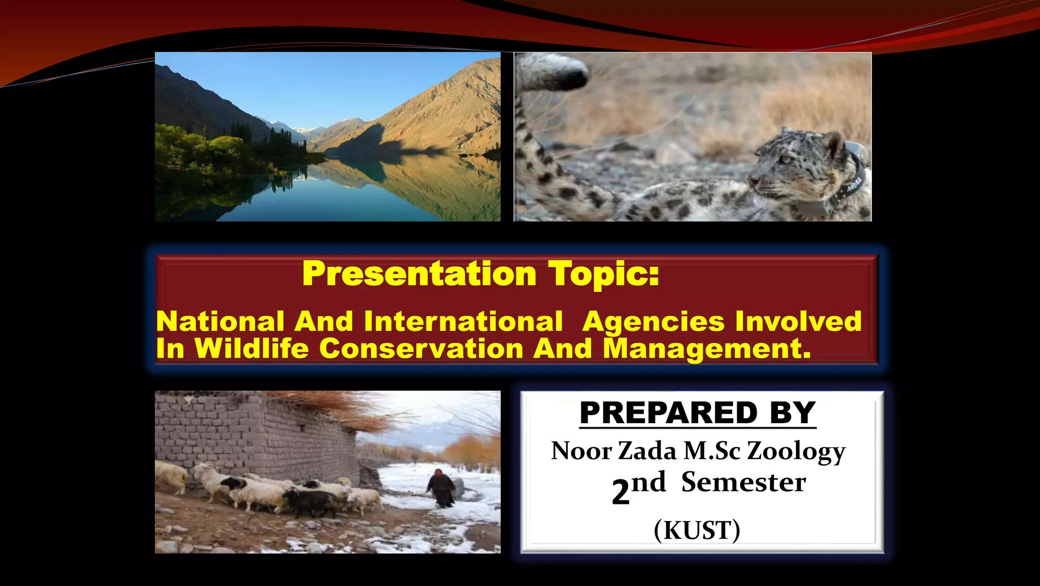 National and international agencies involved in wildlife conservation ...