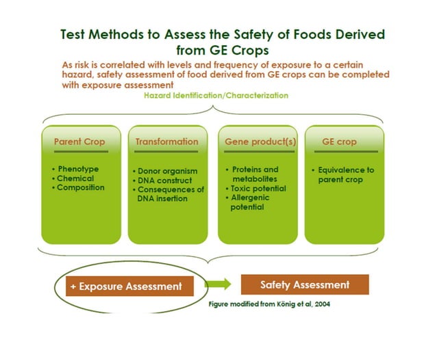National and International Regulatory Framework for GM Crops_2015 | PDF