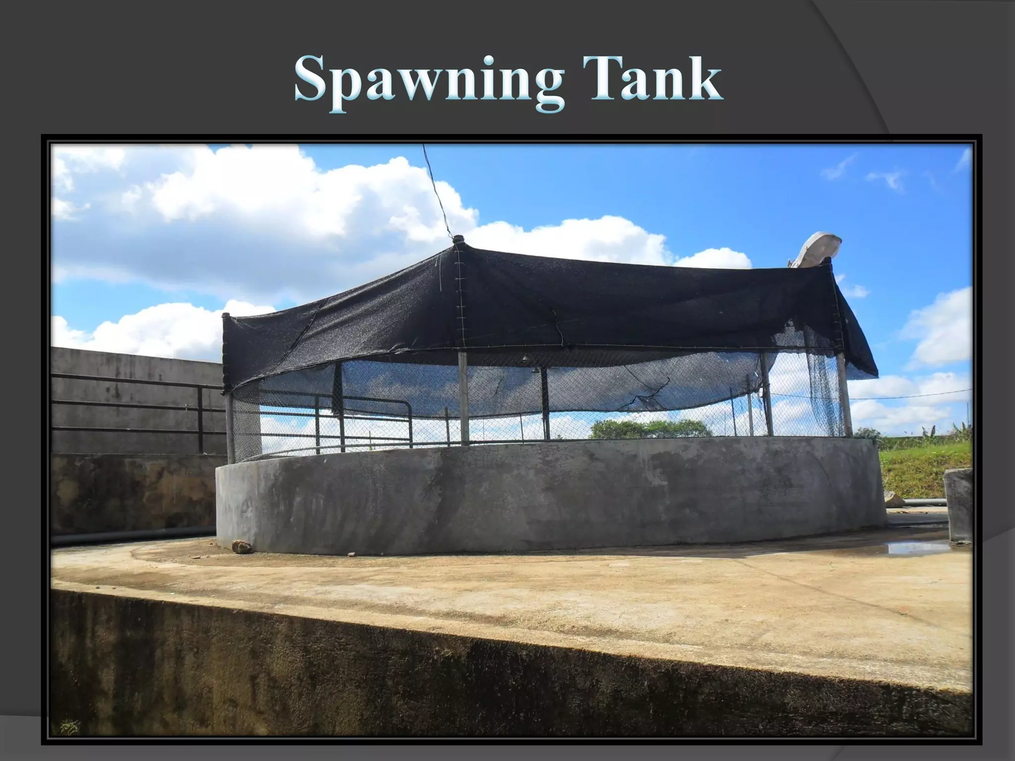 NAQDA_Dambulla | PDF