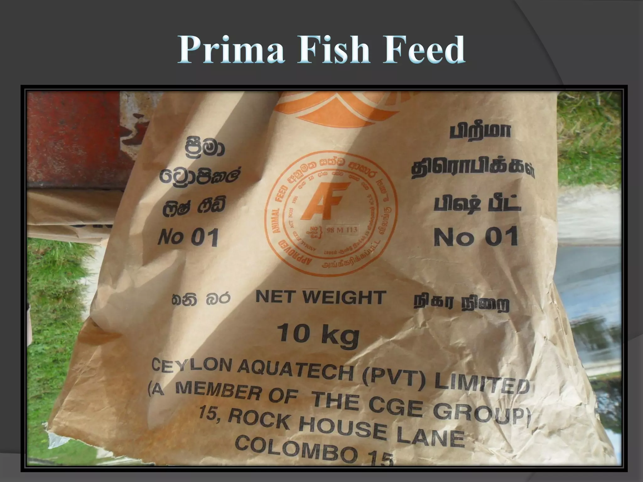 NAQDA_Dambulla | PDF