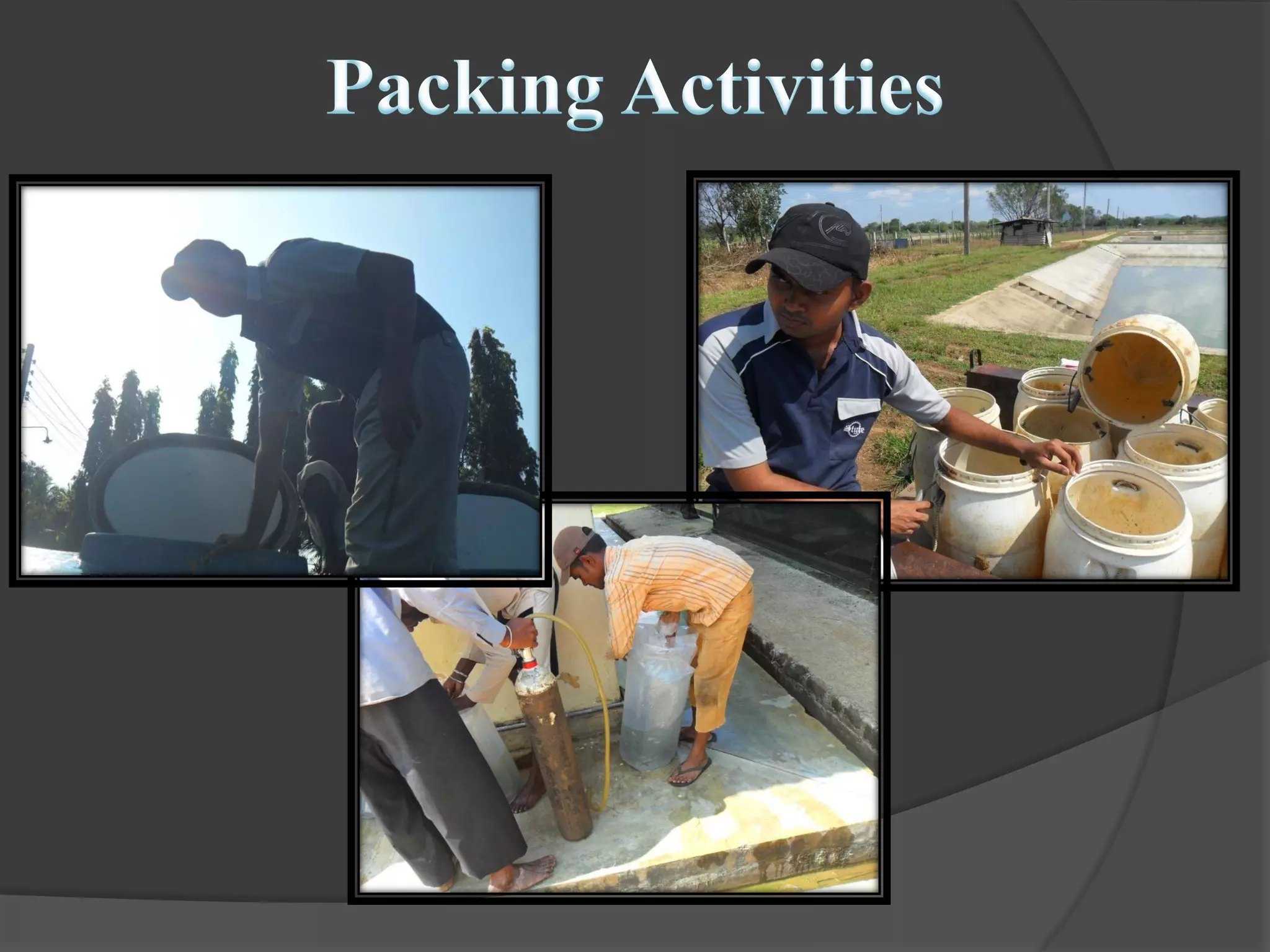 NAQDA_Dambulla | PDF