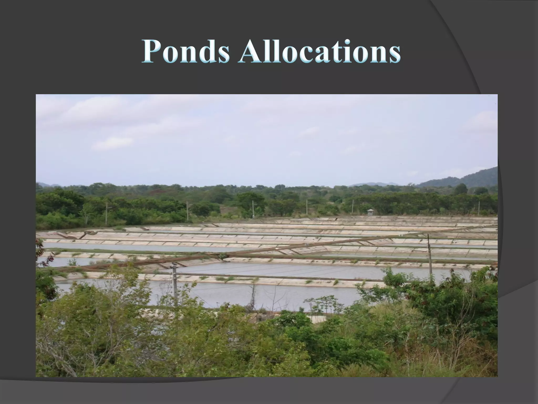 NAQDA_Dambulla | PDF