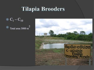 NAQDA_Dambulla | PDF