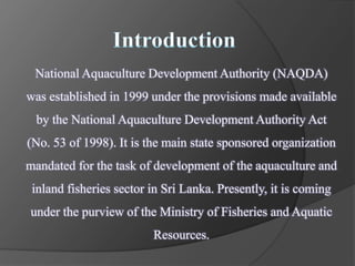 NAQDA_Dambulla | PDF