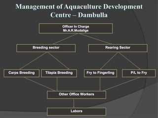 NAQDA_Dambulla | PDF