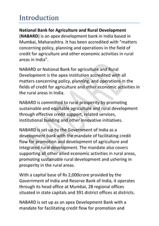 National bank for agriculture and rural developmen project for bfs | DOCX