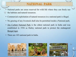National biodiversity protection initiatives | PPTX