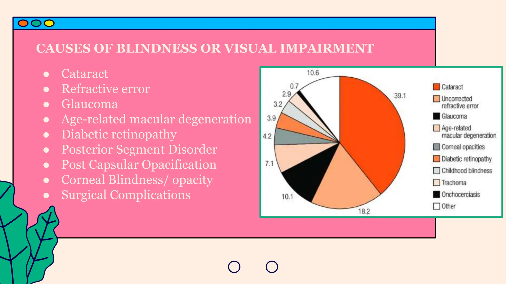national blindness control programme.pptx