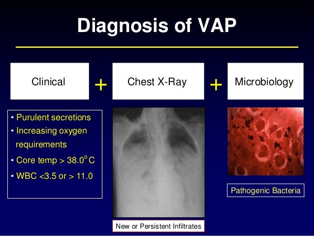 NationalLatest Updates to the Canadian VAP Guidelines - What's New?