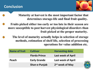 Maturity indices of Peach | PPT