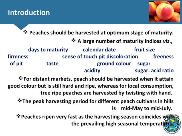 Maturity indices of Peach | PPT | Chemistry | Science