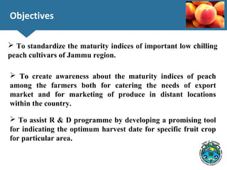 Maturity indices of Peach | PPT