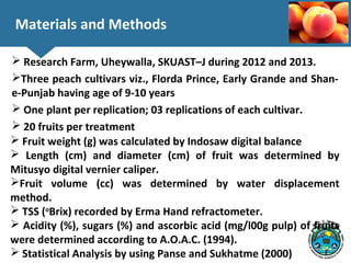 Maturity indices of Peach | PPT