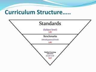 National curriculum 2006 revised | PPTX