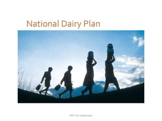 National dairy plan 1 | PPT