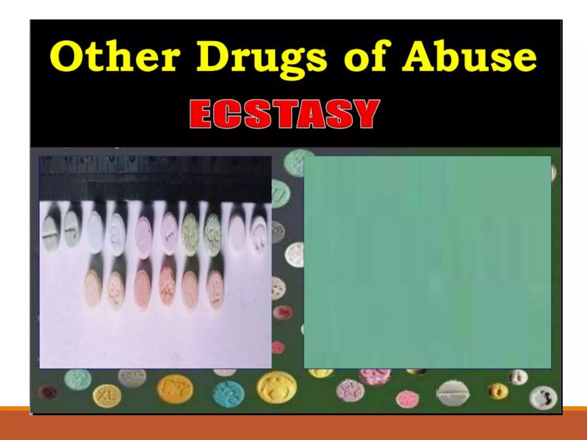 National Drug Education Program (NDEP) 2022.pptx