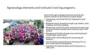 National Experiences - Agroecology and women’s empowerment ...
